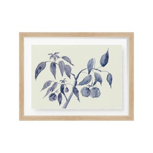 Splendus - Etsy Canada