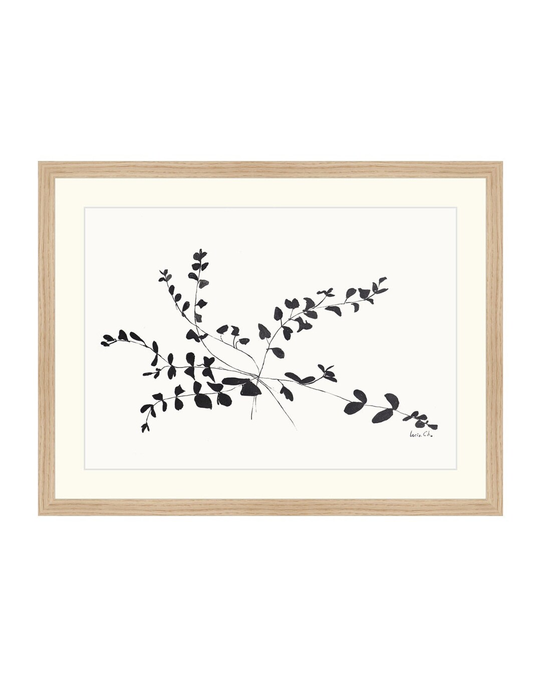 Ink Botanical. Ink Flower Drawing. Ink Drawings of Botanicals. Flower ...