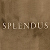 Splendus - Etsy