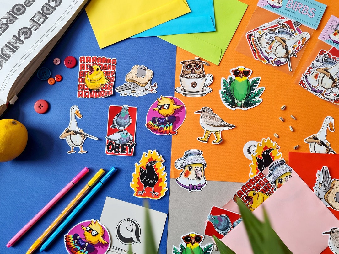 Funky Birds Vinyl Sticker Set - Etsy
