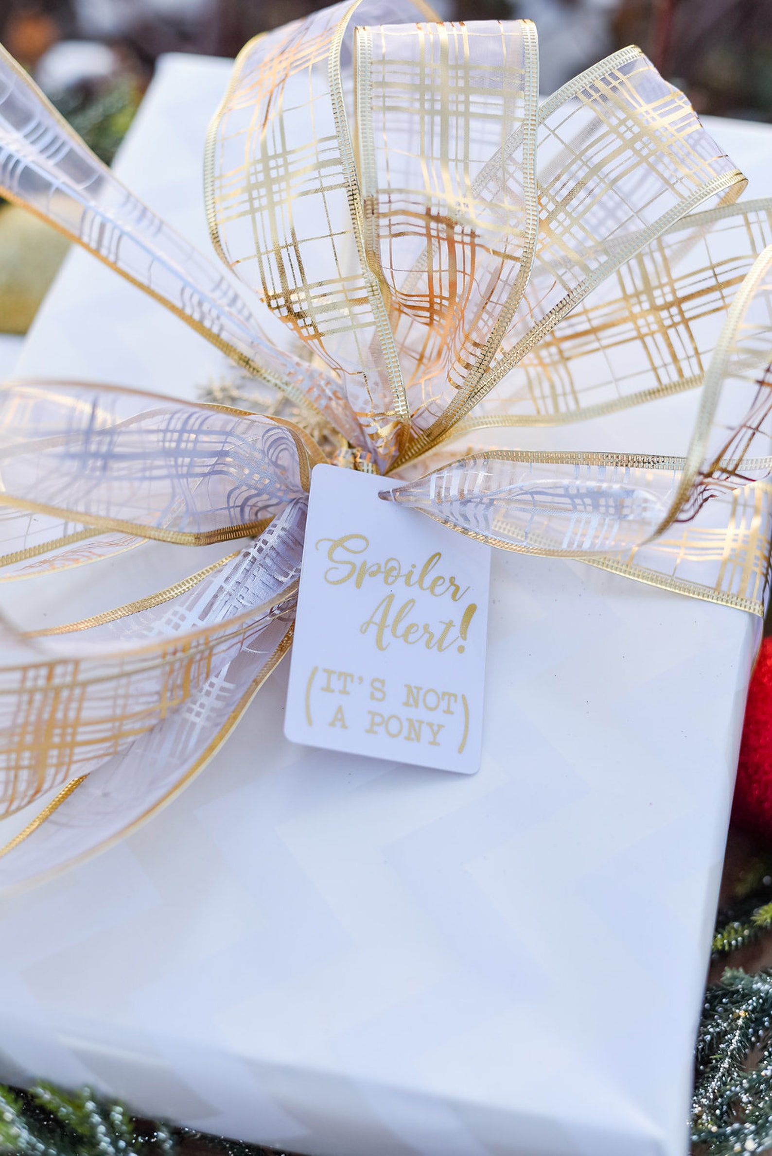 Spoiler Alert Gift Tag 5 Tags - Etsy