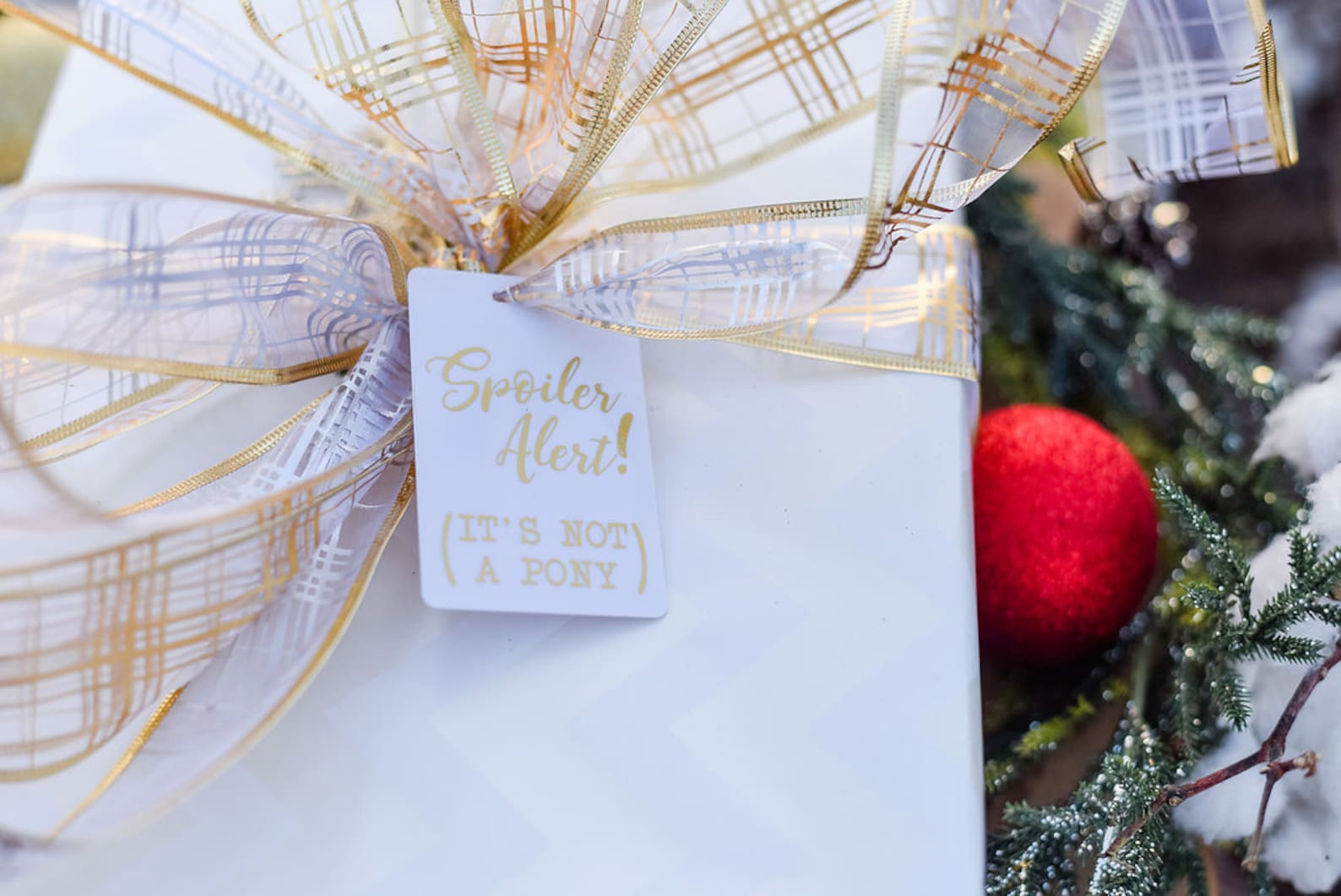 Spoiler Alert Gift Tag 5 Tags - Etsy