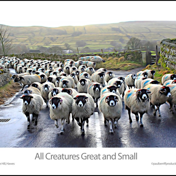 All Creatures Great and Small Wall Art - Etsy