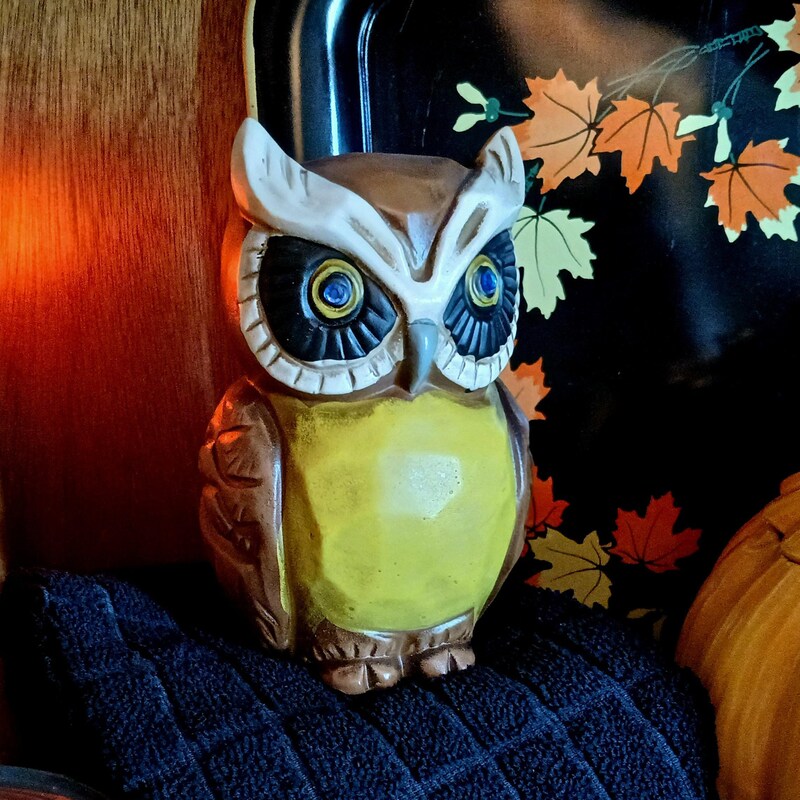 Owl Coin Bank - Etsy