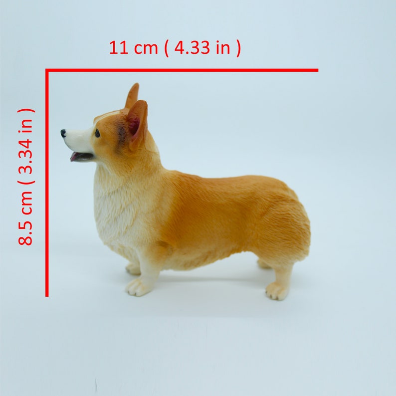 1/6 Scale Corgi Dog Model Figurine Toy for 12in Action - Etsy