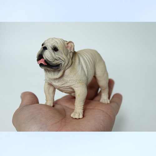 1/6 Scale British Bulldog Dog Model Figurine for 12in - Etsy