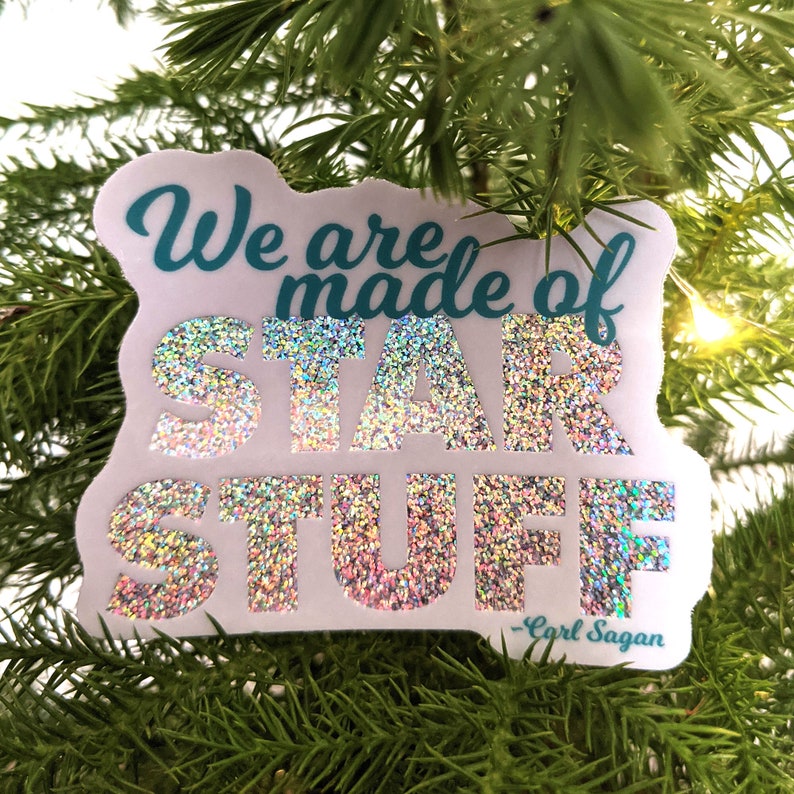 We Are Star Stuff || Carl Sagan Quote || Holographic Sticker - Etsy