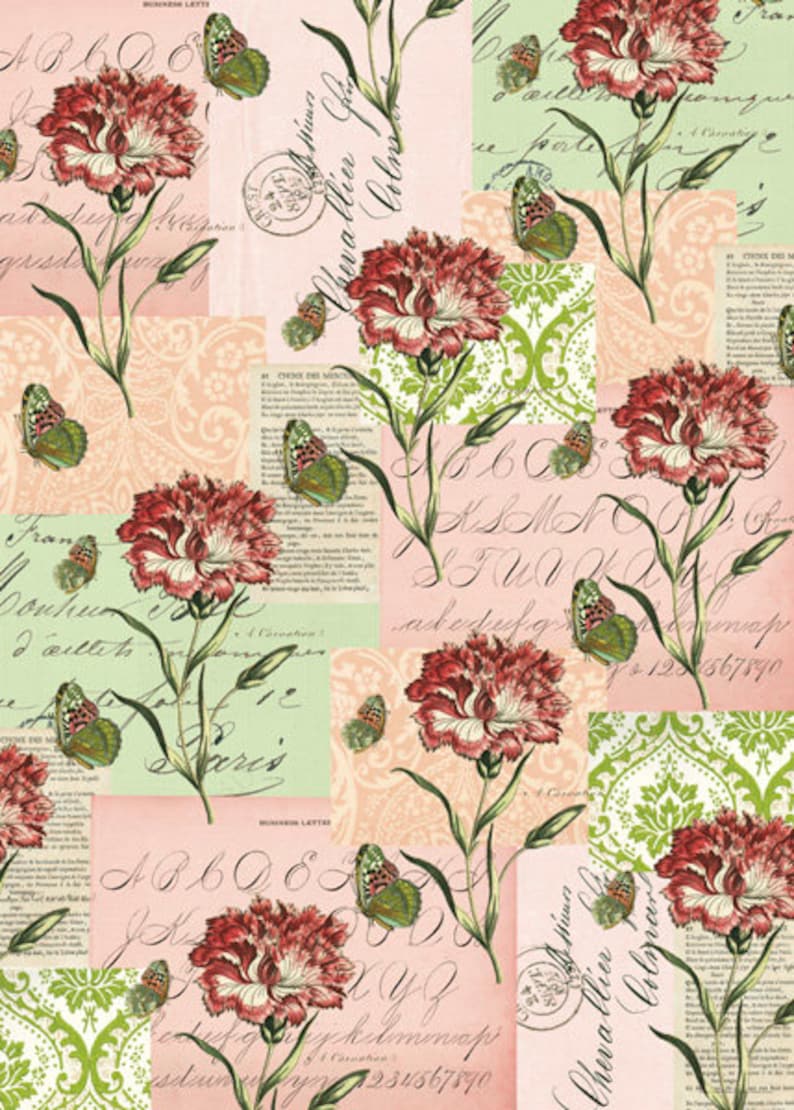 Cavallini Poster Flora and Fauna Botanical - Etsy