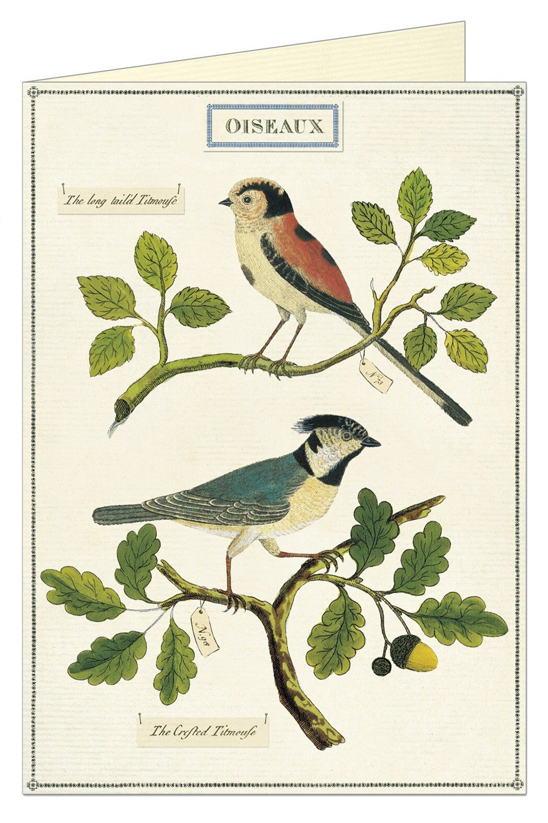 Cavallini Greeting Card Bird - Etsy