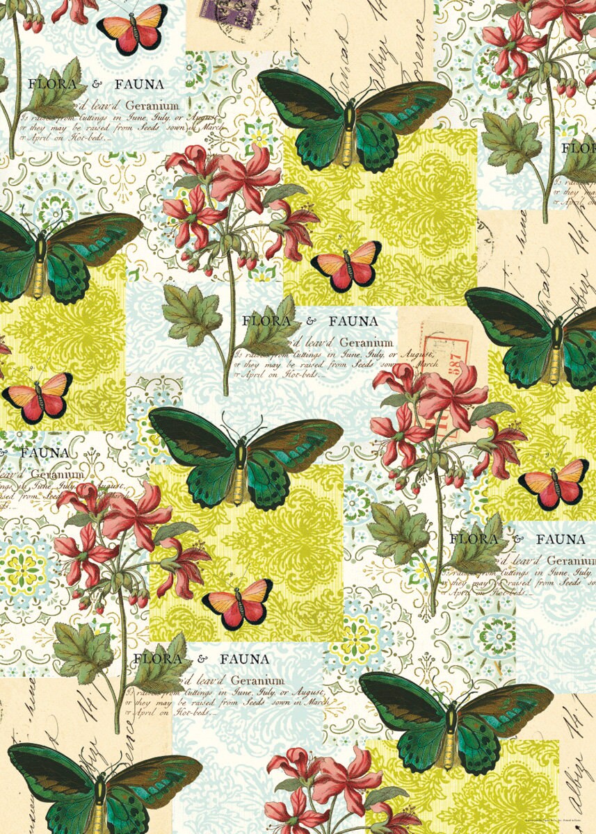 Cavallini Poster Flora and Fauna Butterfly - Etsy