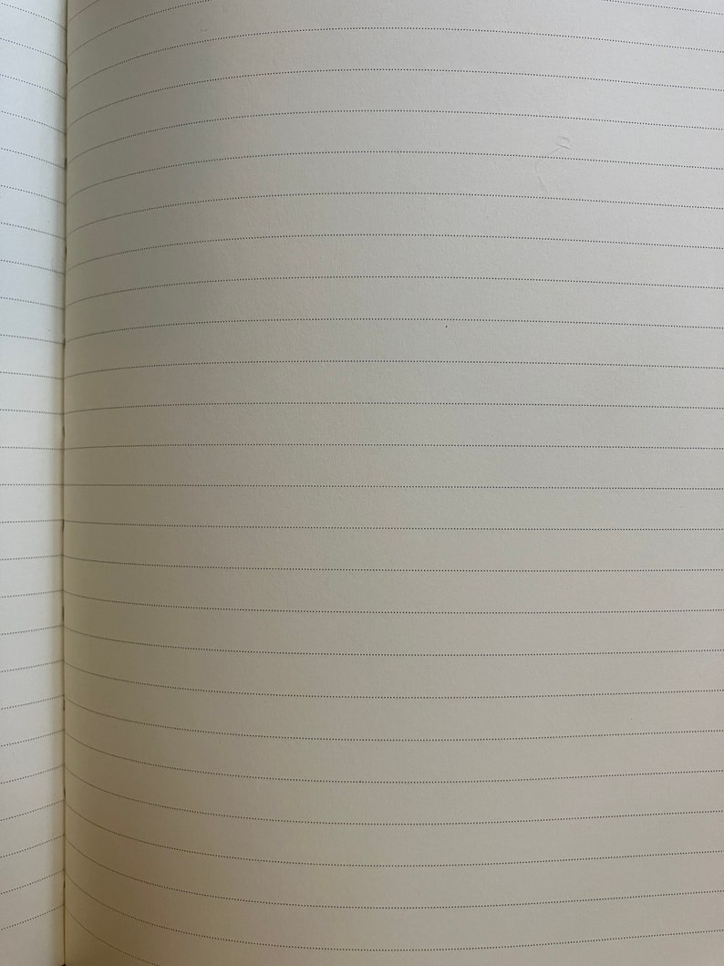 Cavallini Large Notebook World Map - Etsy