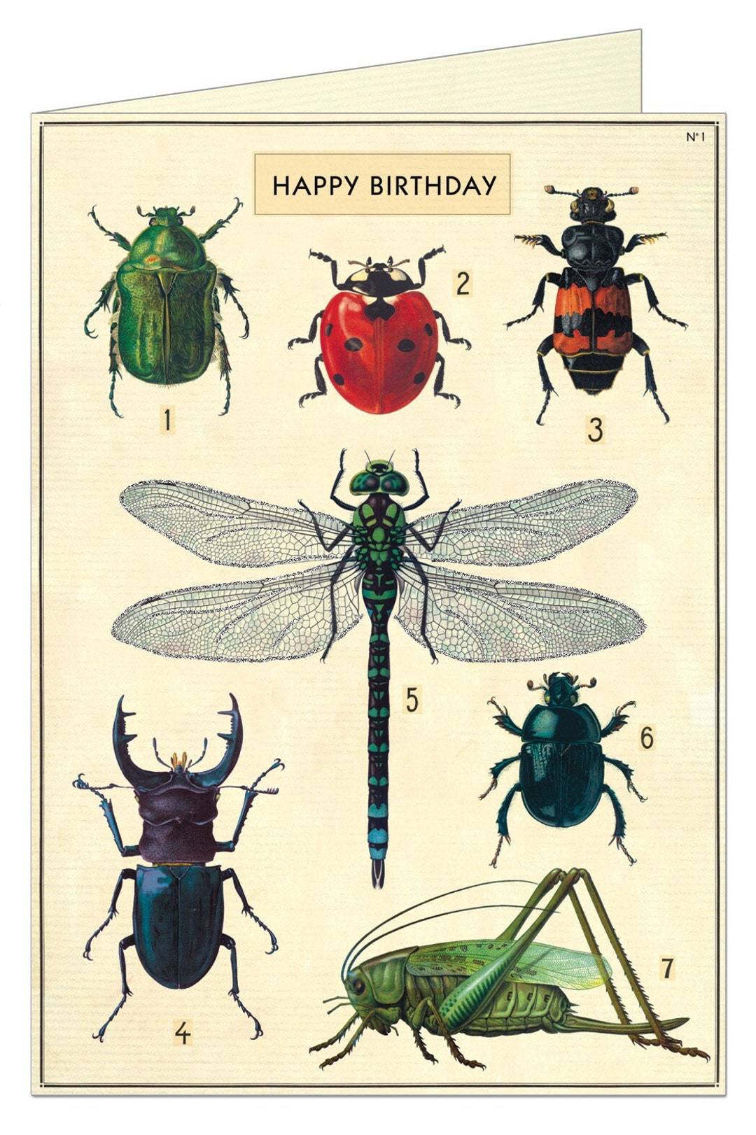 Cavallini Greeting Card Happy Birthday Insects With Glitter - Etsy