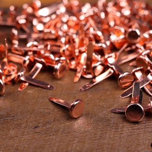 100 X Copper Paper Fasteners Split Pins 19mm / 8mm Head - Etsy