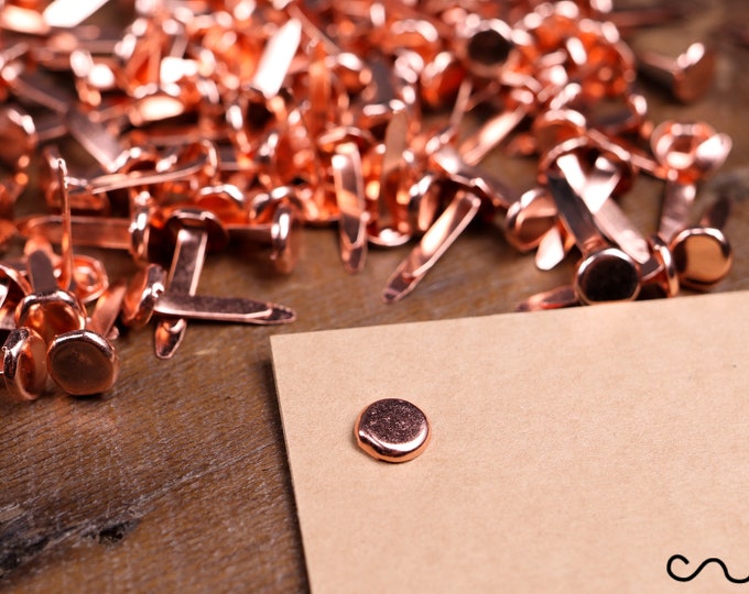 100 X Copper Paper Fasteners Split Pins 19mm / 8mm Head - Etsy