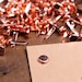 100 X Copper Paper Fasteners Split Pins 19mm / 8mm Head - Etsy