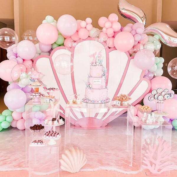 Sea Shell Photo - Etsy