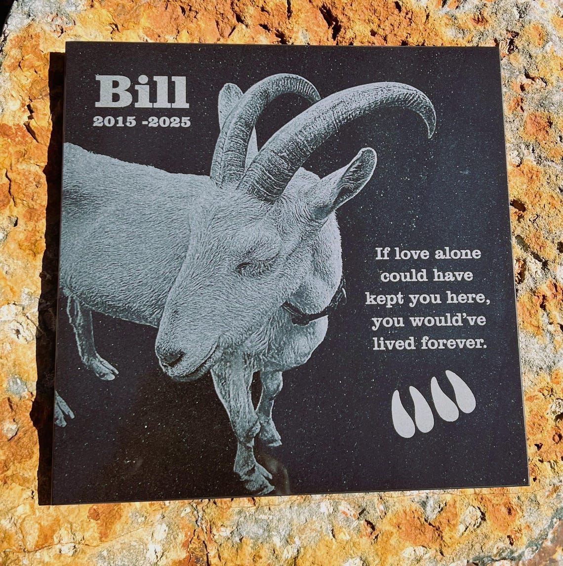 Barn Animal Plaques, Pet Goat Stone Marker, Farm Animal Memorials, Barn ...