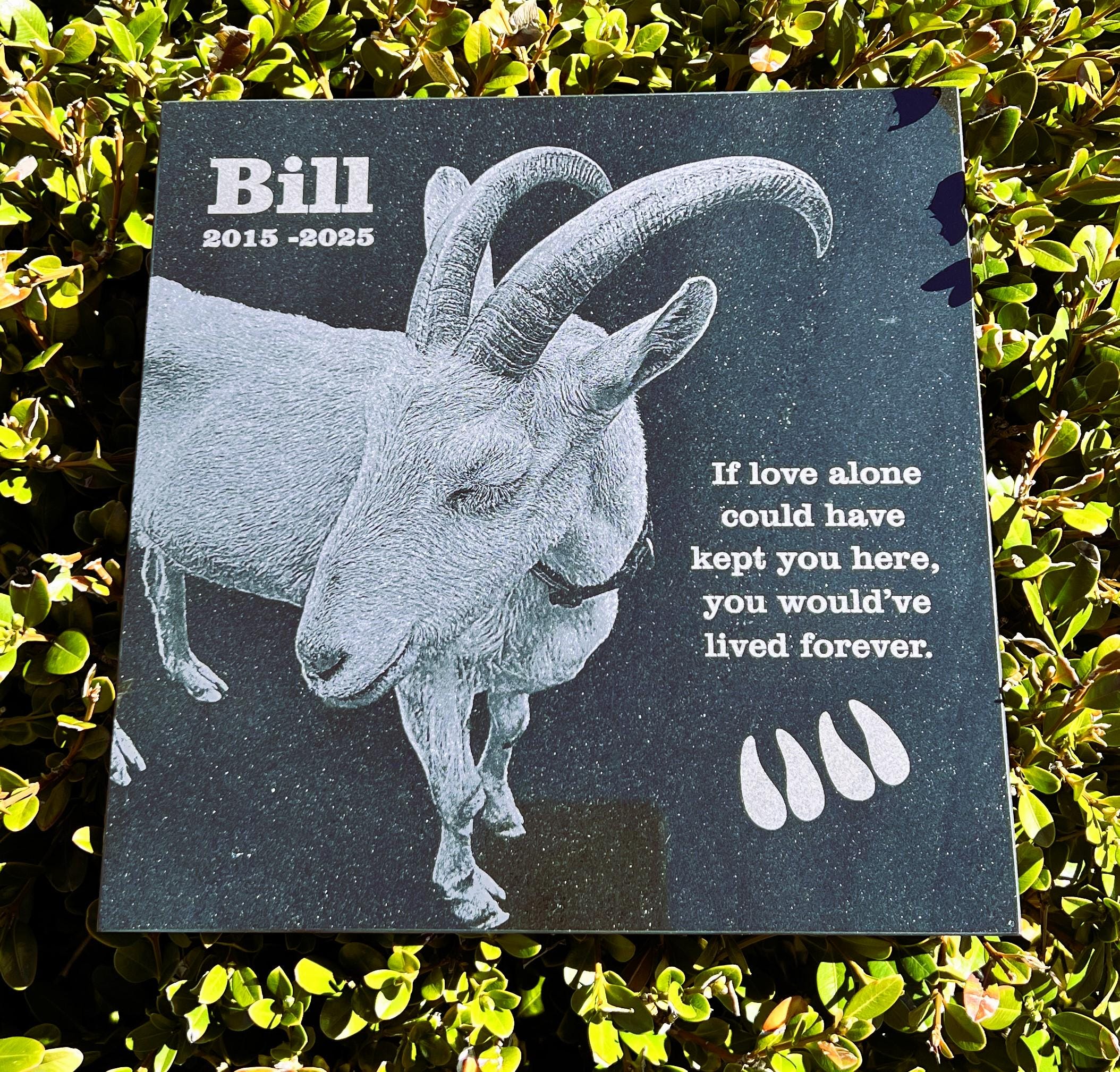 Barn Animal Plaques, Pet Goat Stone Marker, Farm Animal Memorials, Barn ...