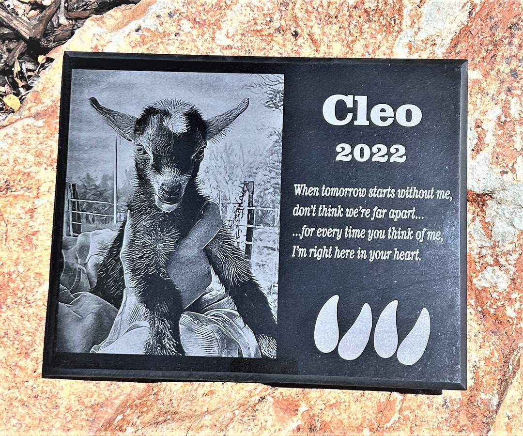 Barn Animal Plaques, Pet Goat Stone Marker, Farm Animal Memorials, Barn ...