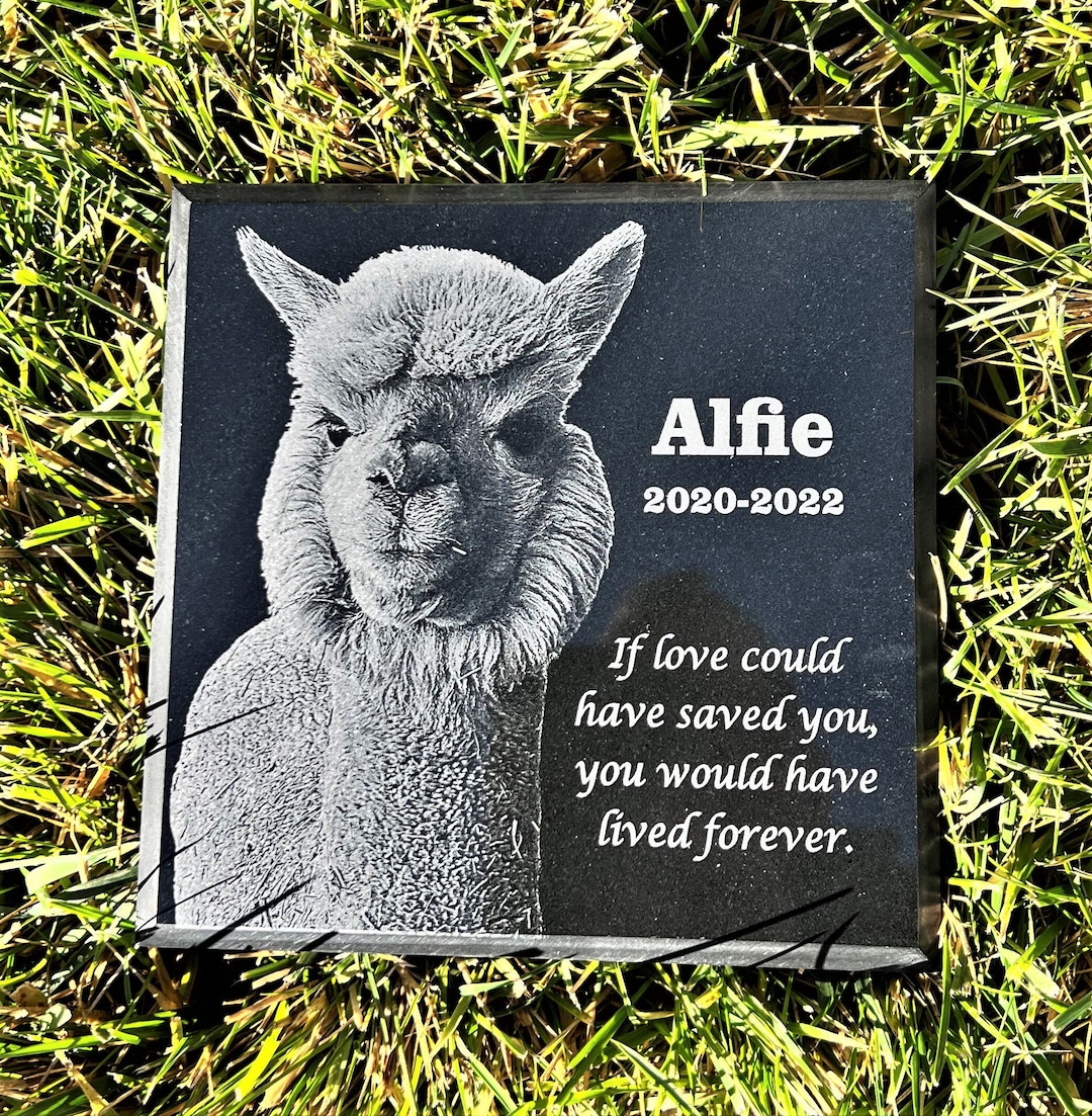 Barn Marker Plaques, Alpaca Memorial Custom Designed and Engraved Stone ...