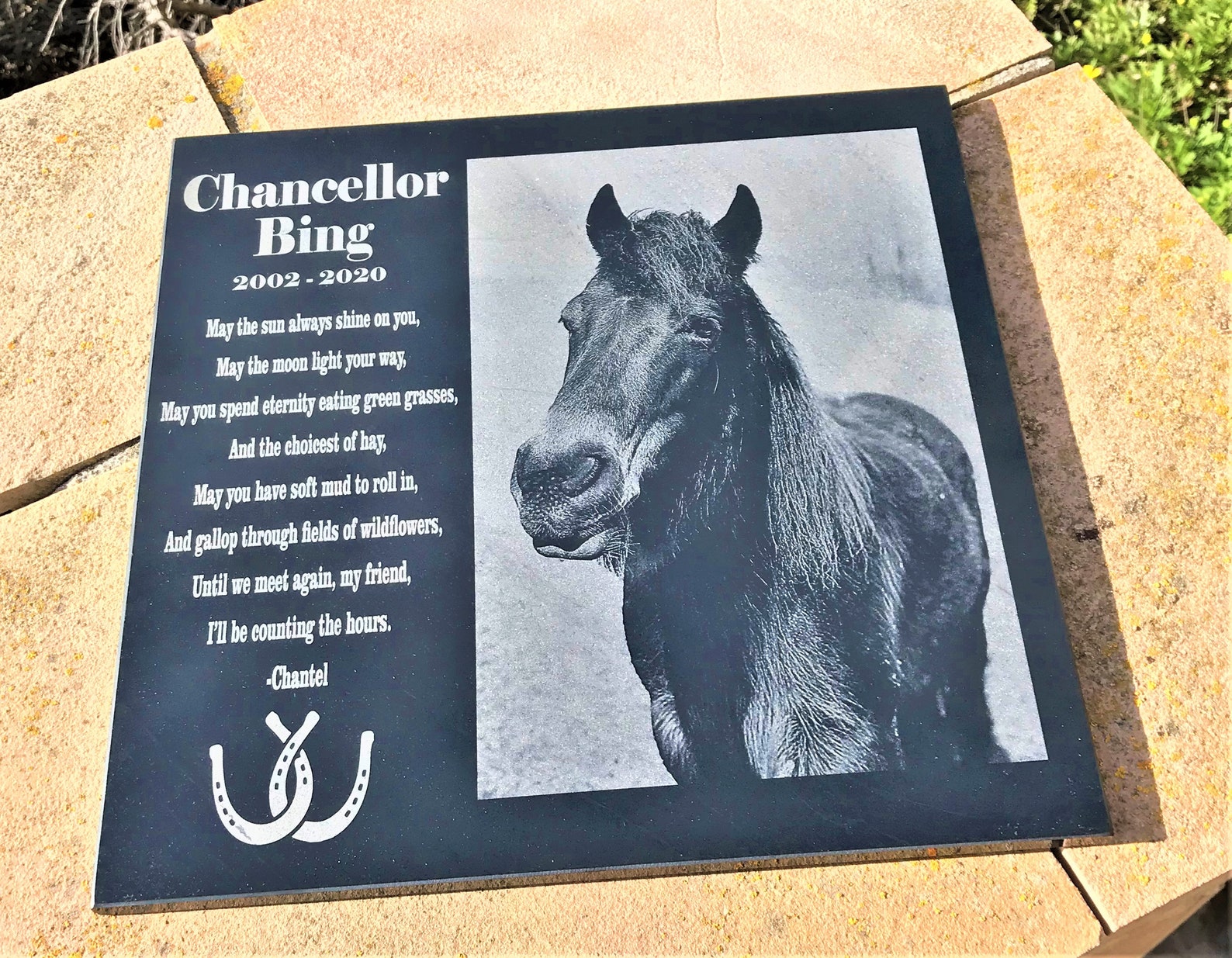 Equestrian Horse Barn Marker Plaques Horse Memorial Custom - Etsy