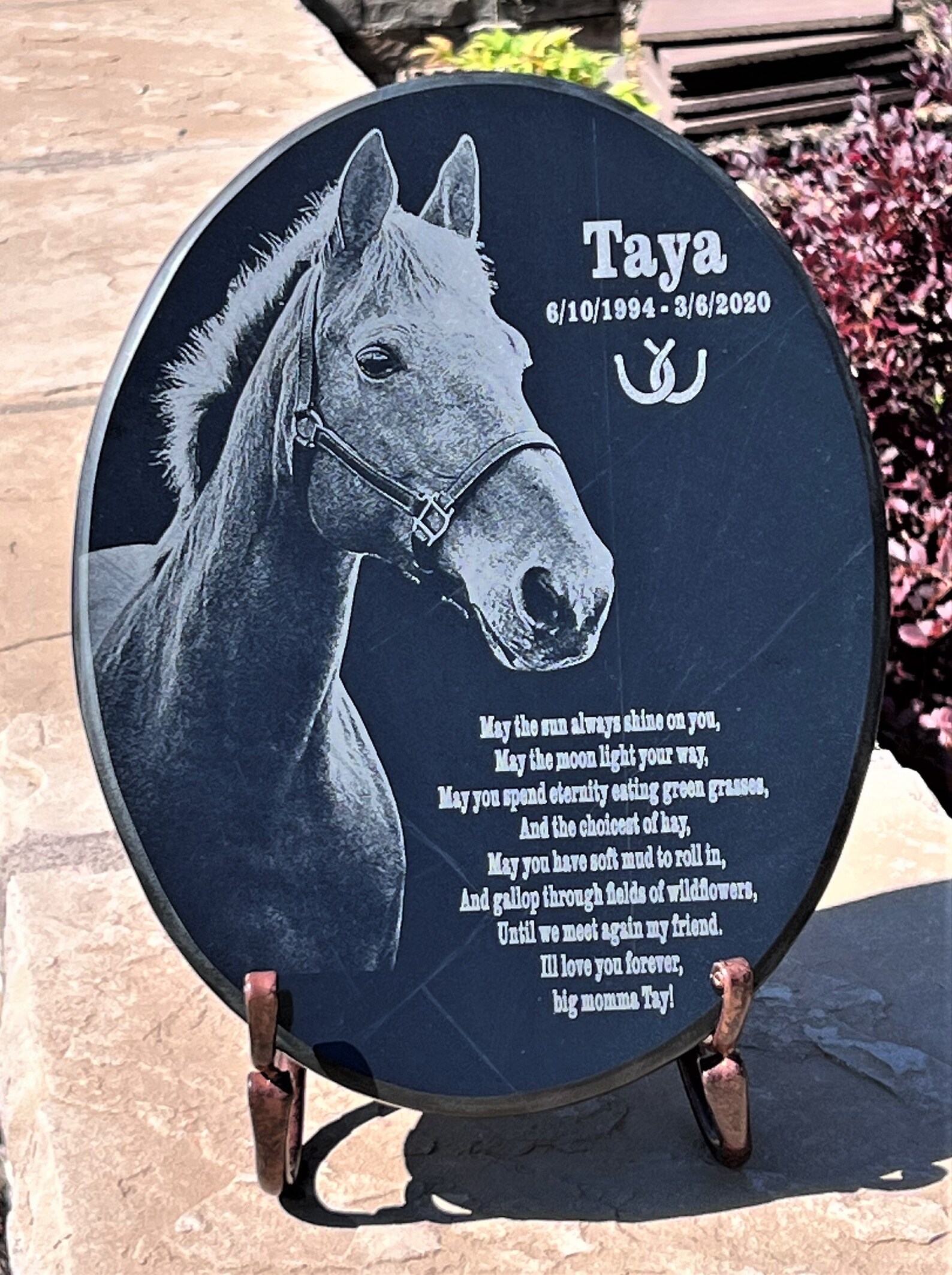 Equestrian Horse Barn Marker Plaques, Dressage Horse Memorial Custom ...
