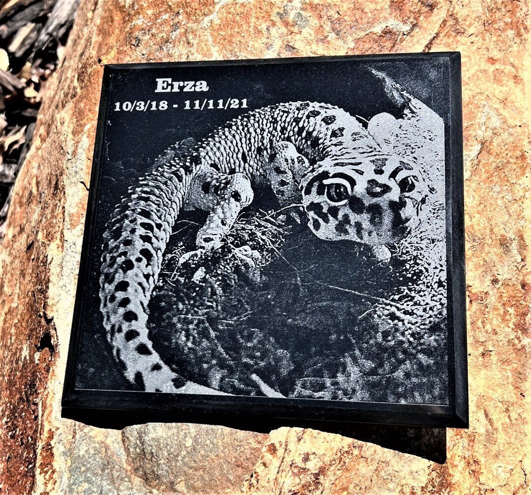 Reptile Plaques, Lizard Stone Marker, Pet Memorials, Gecko, Snake ...