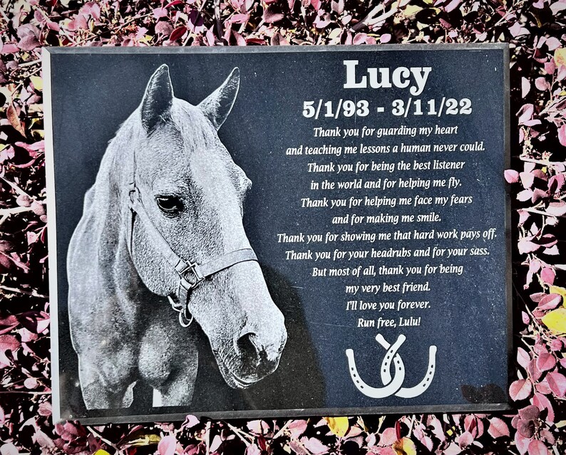 Equestrian Horse Barn Marker Plaques Horse Memorial Custom - Etsy