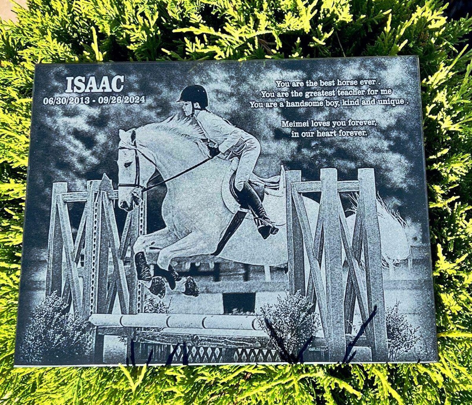 Equestrian Horse Barn Marker Plaques, Dressage Horse Memorial Custom ...