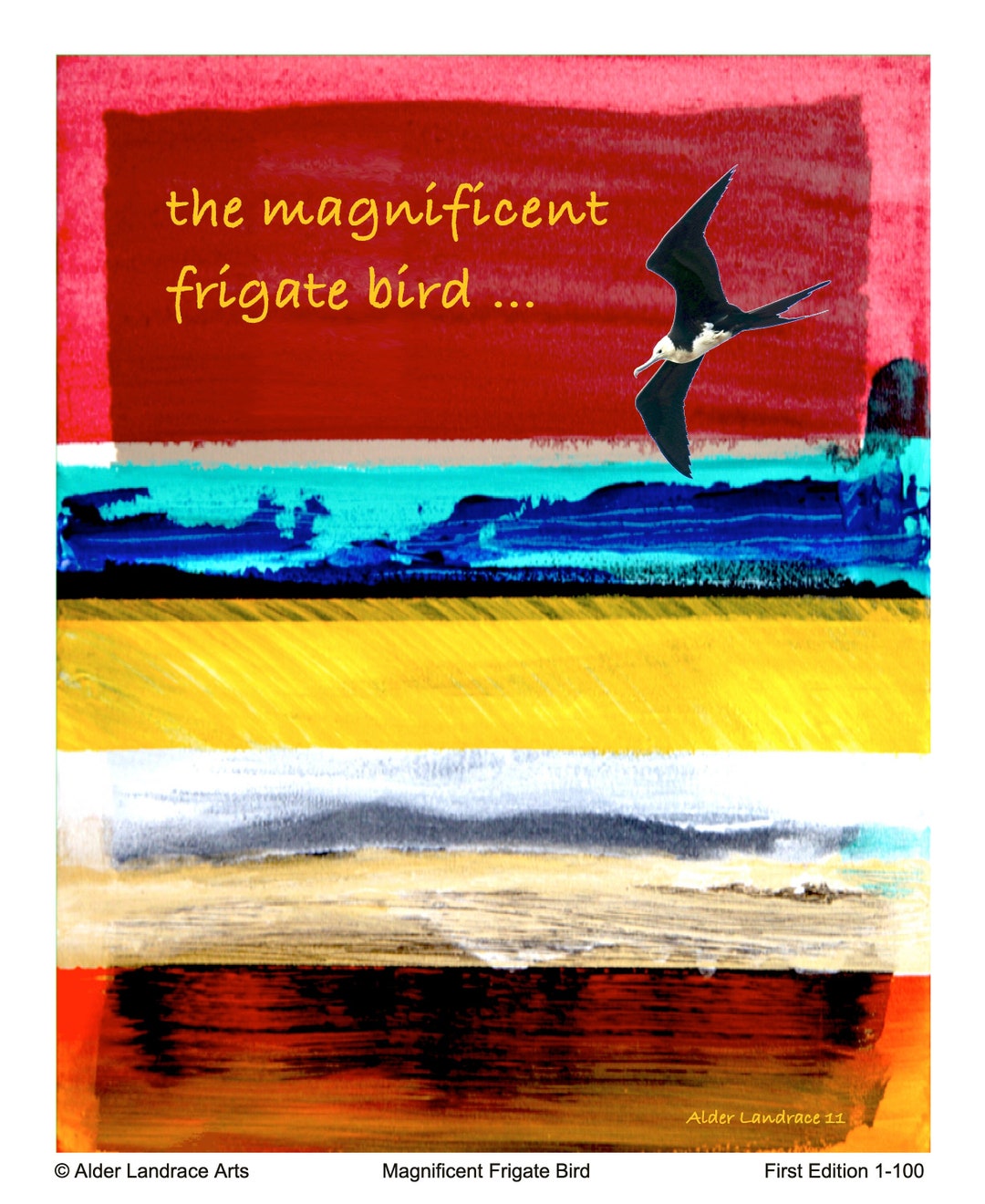 MAGNIFICENT FRIGATE BIRD Giclée Art Poster Linear Abstract Pacific ...