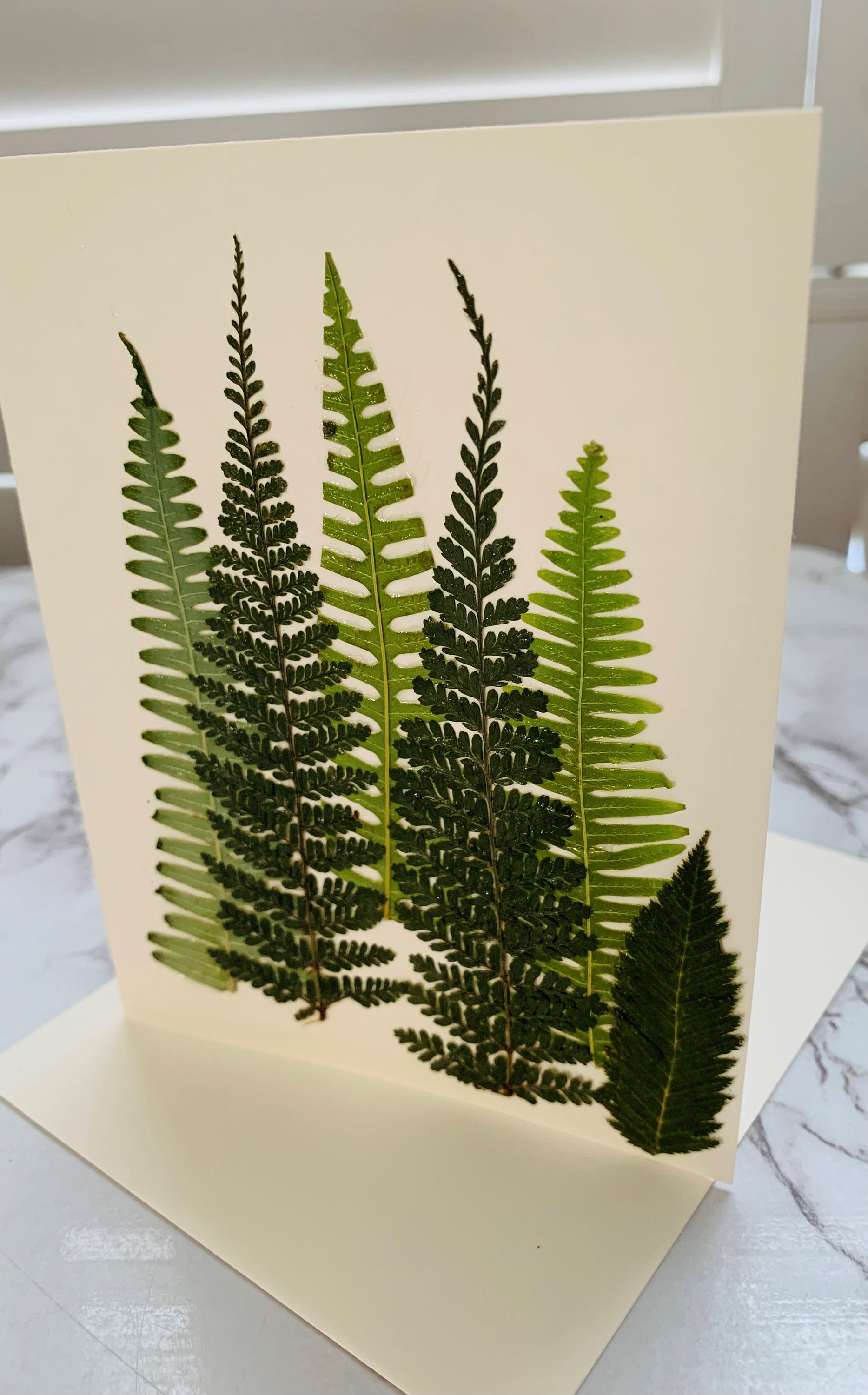 Five Pressed Flower Note Cards, One-of-a-kind Notes, Stationery Notes ...