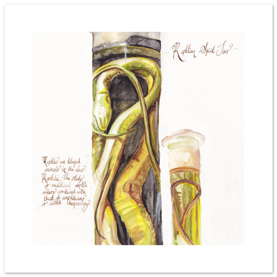 Reptile Spirit Jars Matte Poster: Victorian Naturalist Style - Etsy
