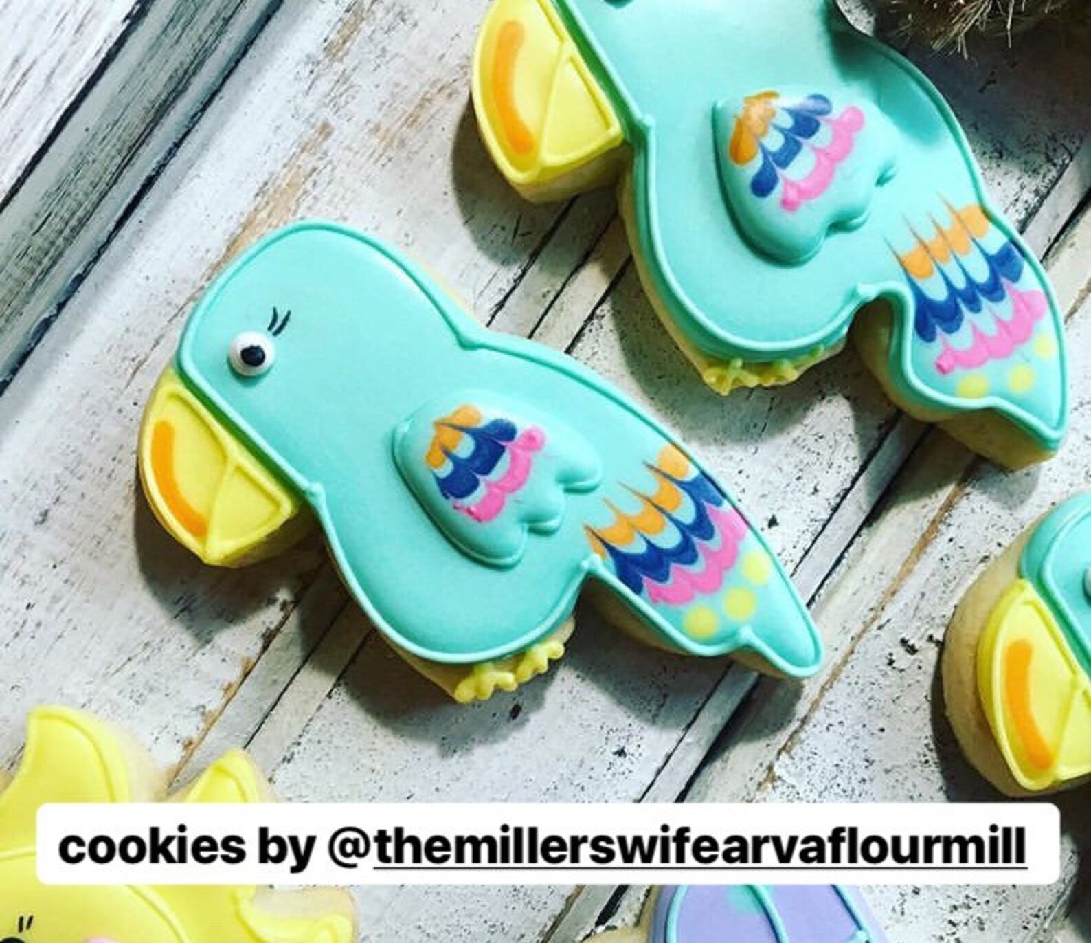 Parrot Cookie Cutter Budgie Cookie Cutter Toucan Cookie - Etsy