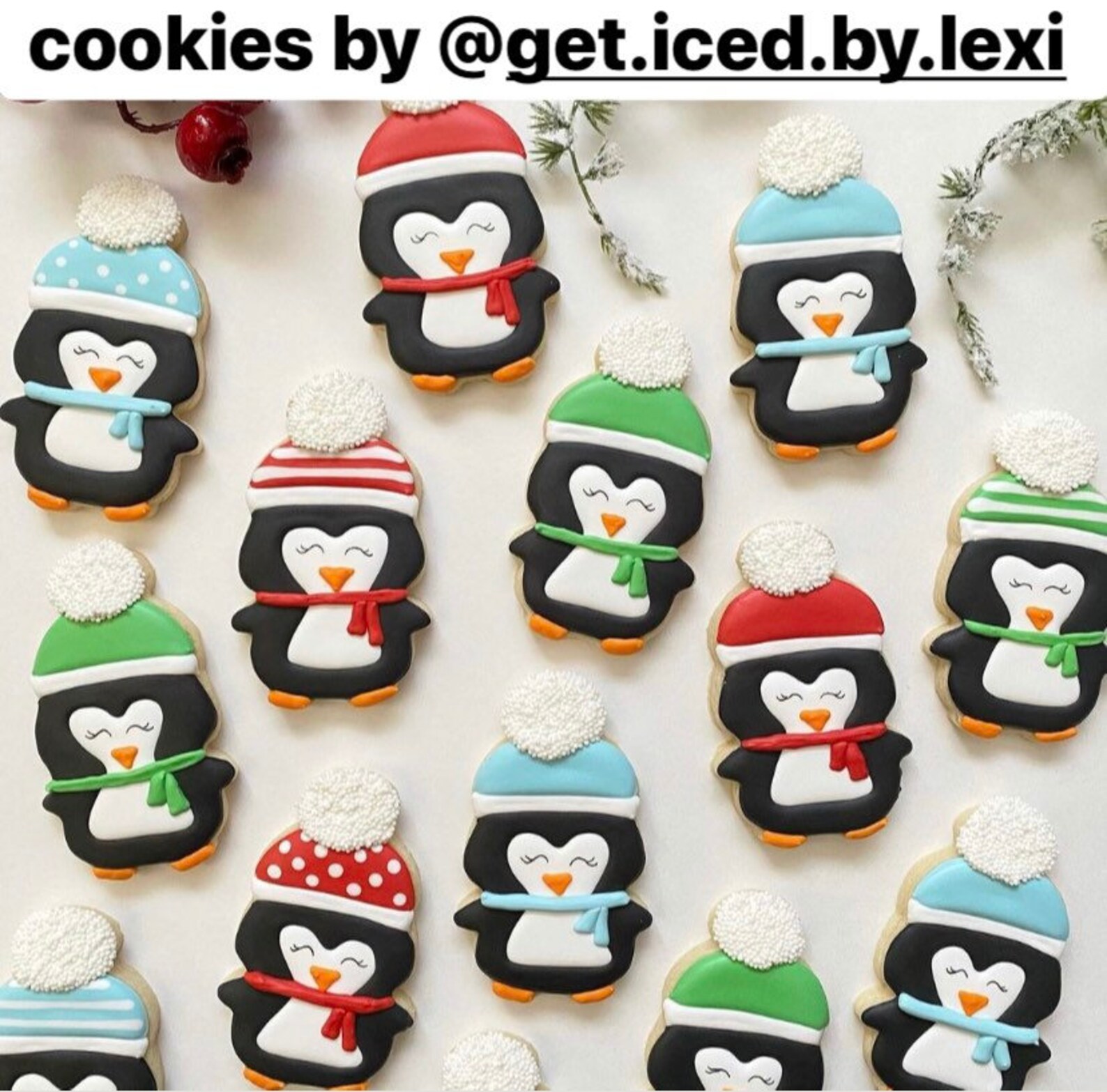 Penguin Cookie Cutter Christmas Cutters Animal Cutter - Etsy