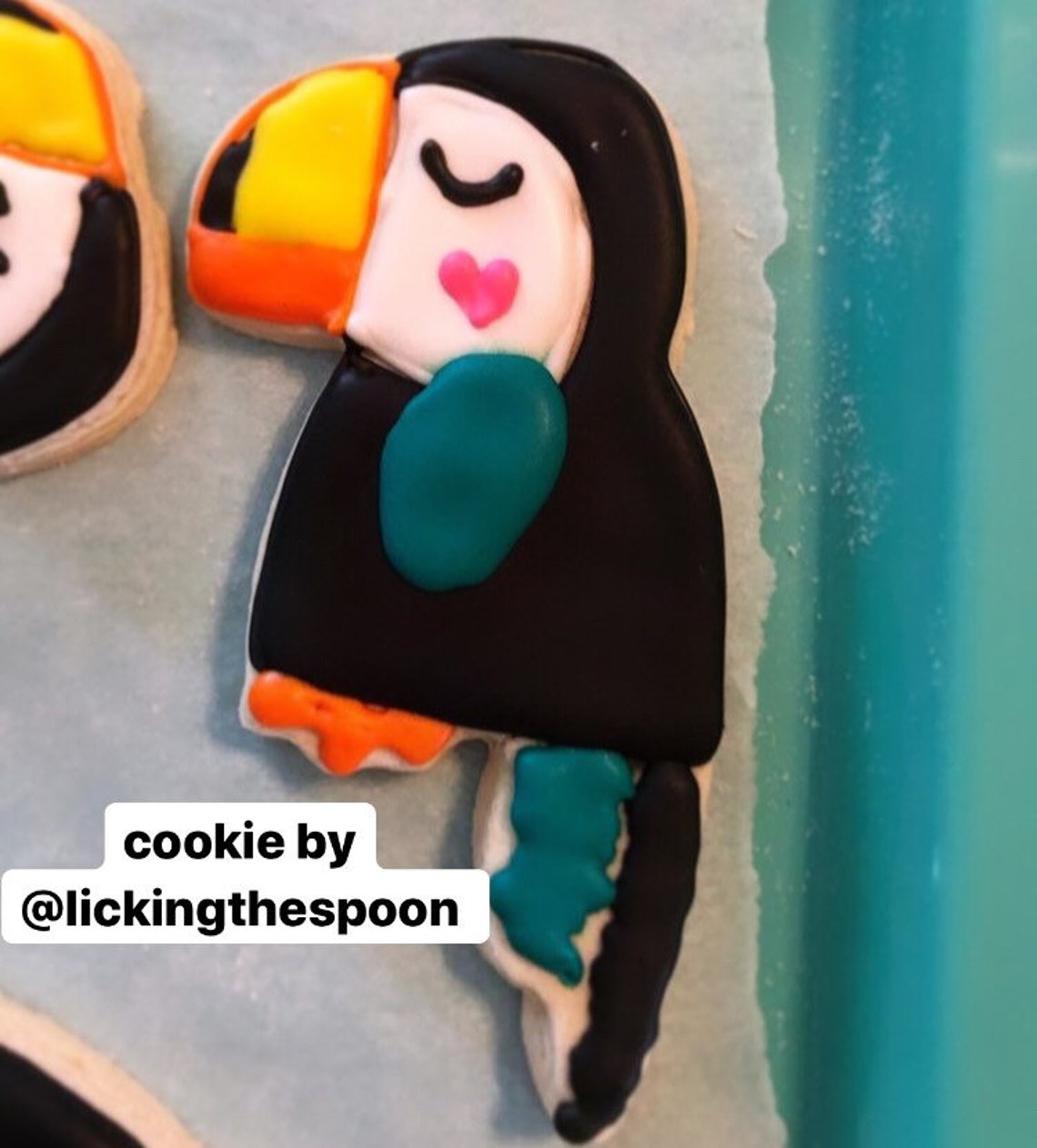 Parrot Cookie Cutter Budgie Cookie Cutter Toucan Cookie - Etsy