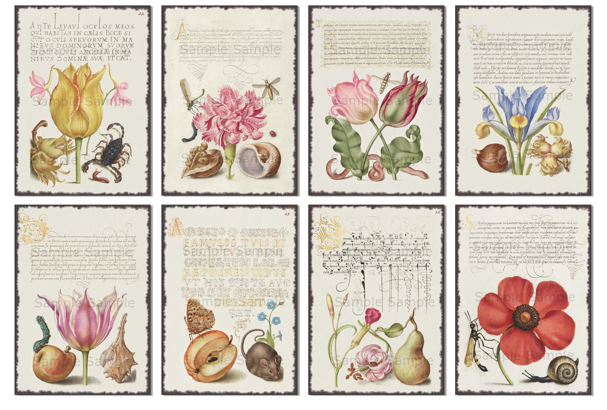 Artist Trading Card Sized Collage Sheets | Nature Meets Calligraphy ...