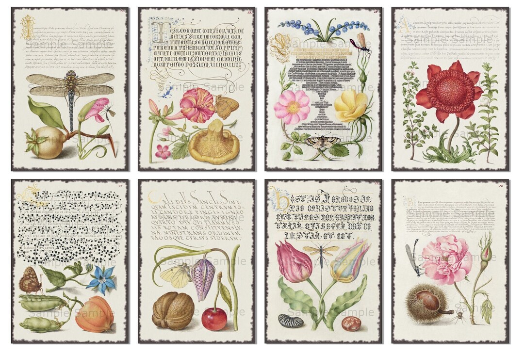 Artist Trading Card Sized Collage Sheets | Nature Meets Calligraphy ...