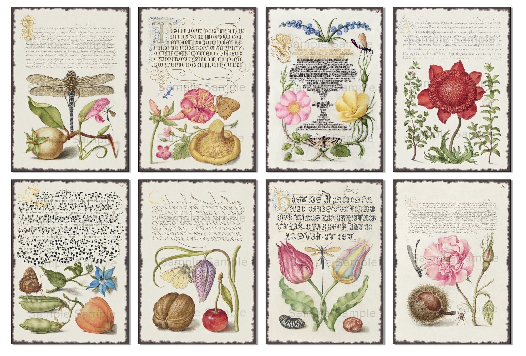 Artist Trading Card Sized Collage Sheets | Nature Meets Calligraphy ...