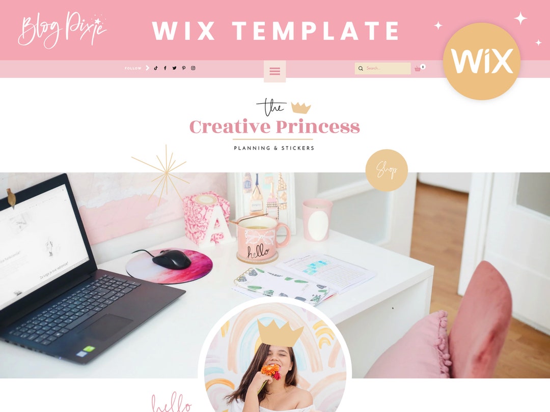 Wix Website Template Creative Ecommerce Online Store Stickers Website ...