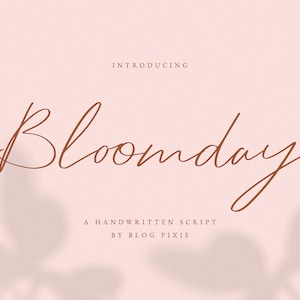 Bloomday Script Font Handwritten Font Modern Calligraphy Stylish Fonts Font Download Handwriting ...