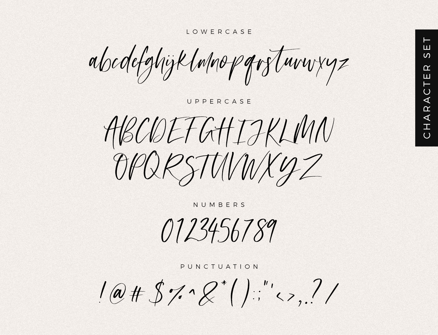 Dreamland Font Script Font Modern Calligraphy Stylish - Etsy