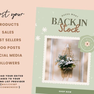 Cottagecore Email Marketing Templates Canva - Sage Green Newsletter ...