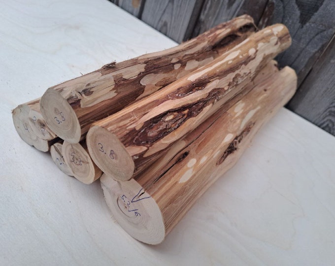 Live Edge Juniper Wood Boards - Etsy