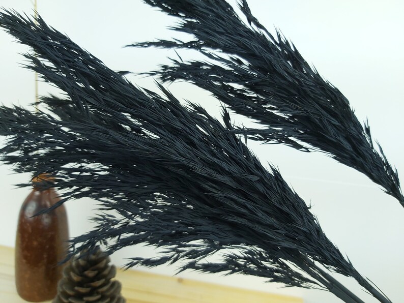 Black Pampas Grass Decor Black Pampas Grass Decor Black Etsy