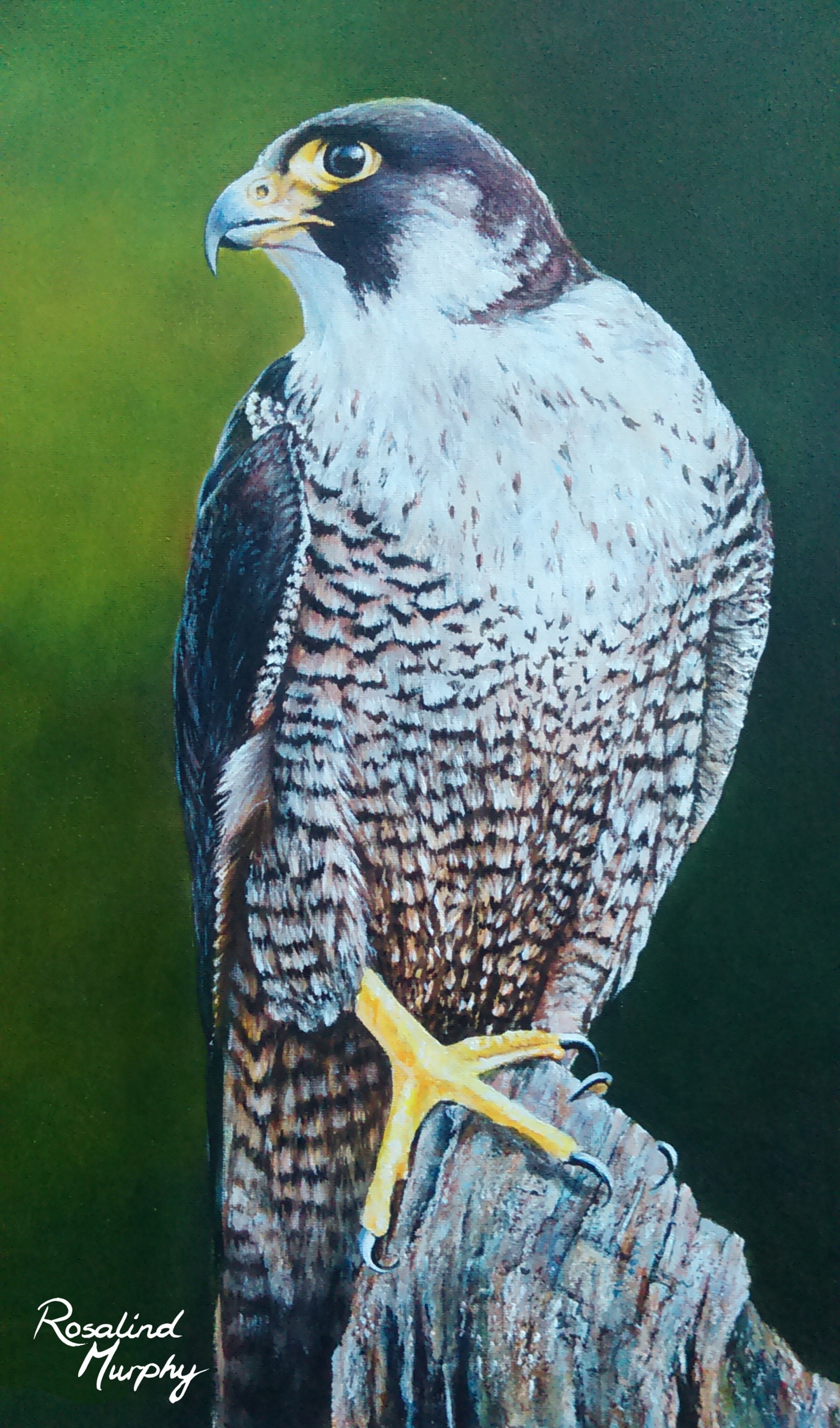 Falcon print of Original Acrylic Painting - Etsy