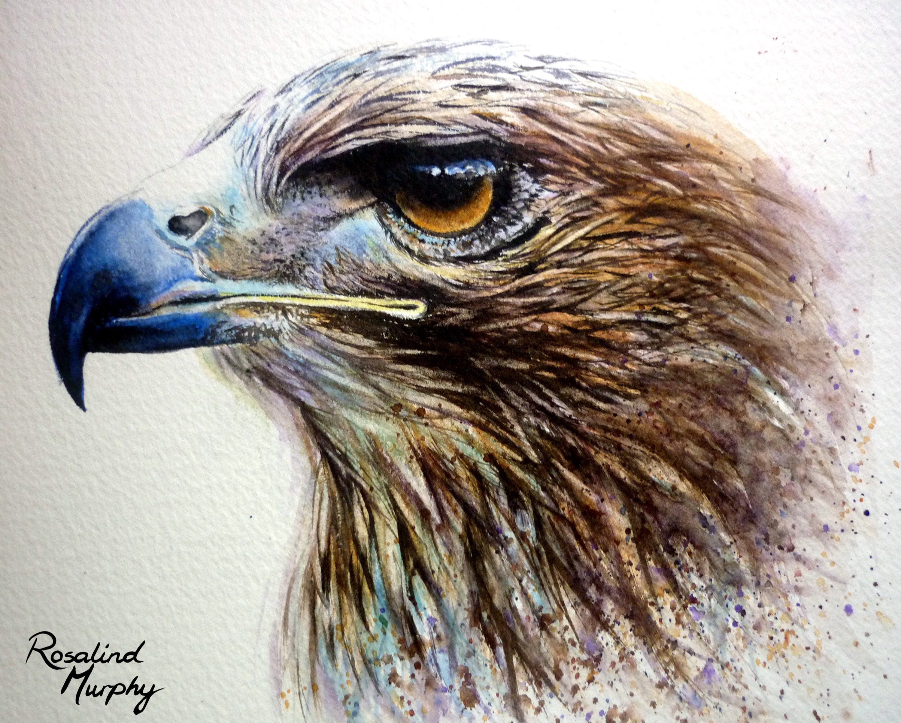 Raptor print of Original Watercolour - Etsy