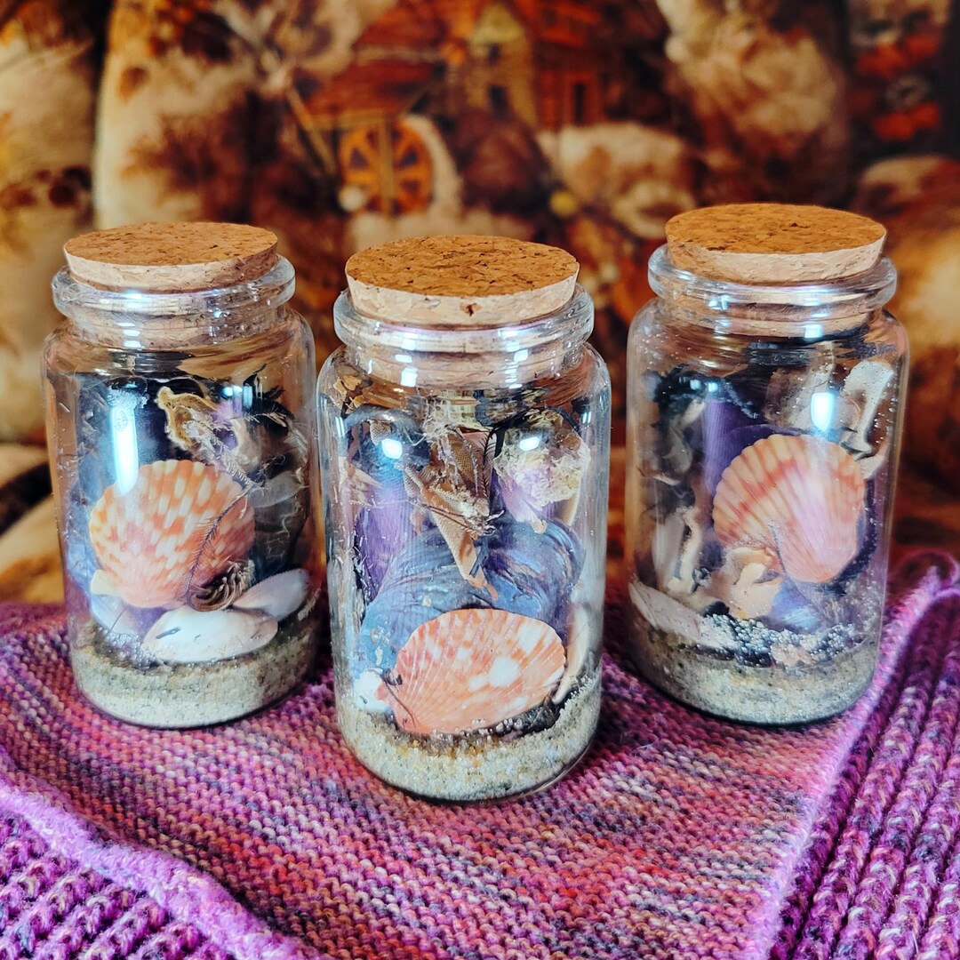 Beachy Seashell Junk Jar Specimen - Etsy
