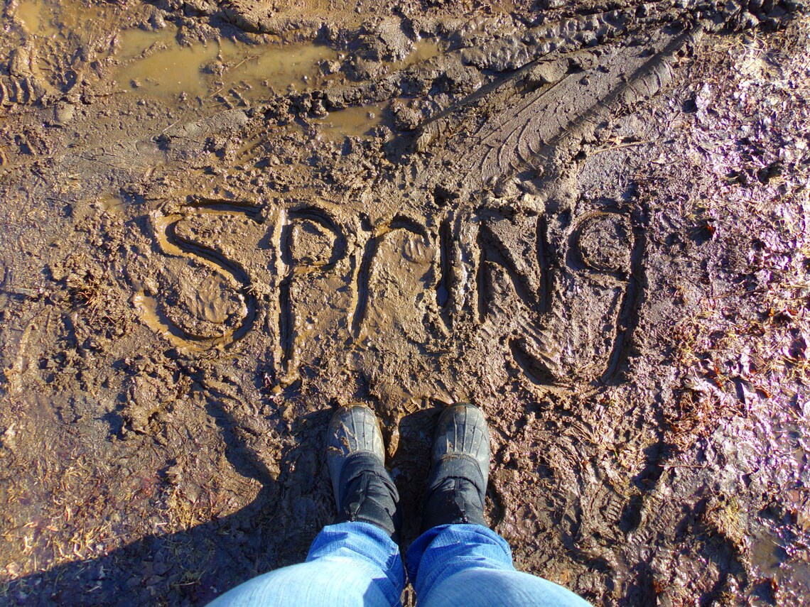 Spring Photo Spring Photography Spring Mud Spring Print - Etsy