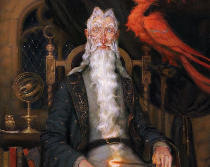 The Professor's Office Wizard Portrait - Etsy