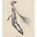 Thorn Fairy Magical Creature (version 3) Illustrated Art Print - Etsy
